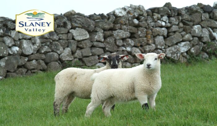 Slaney Valley – R&S Vertriebs GmbH